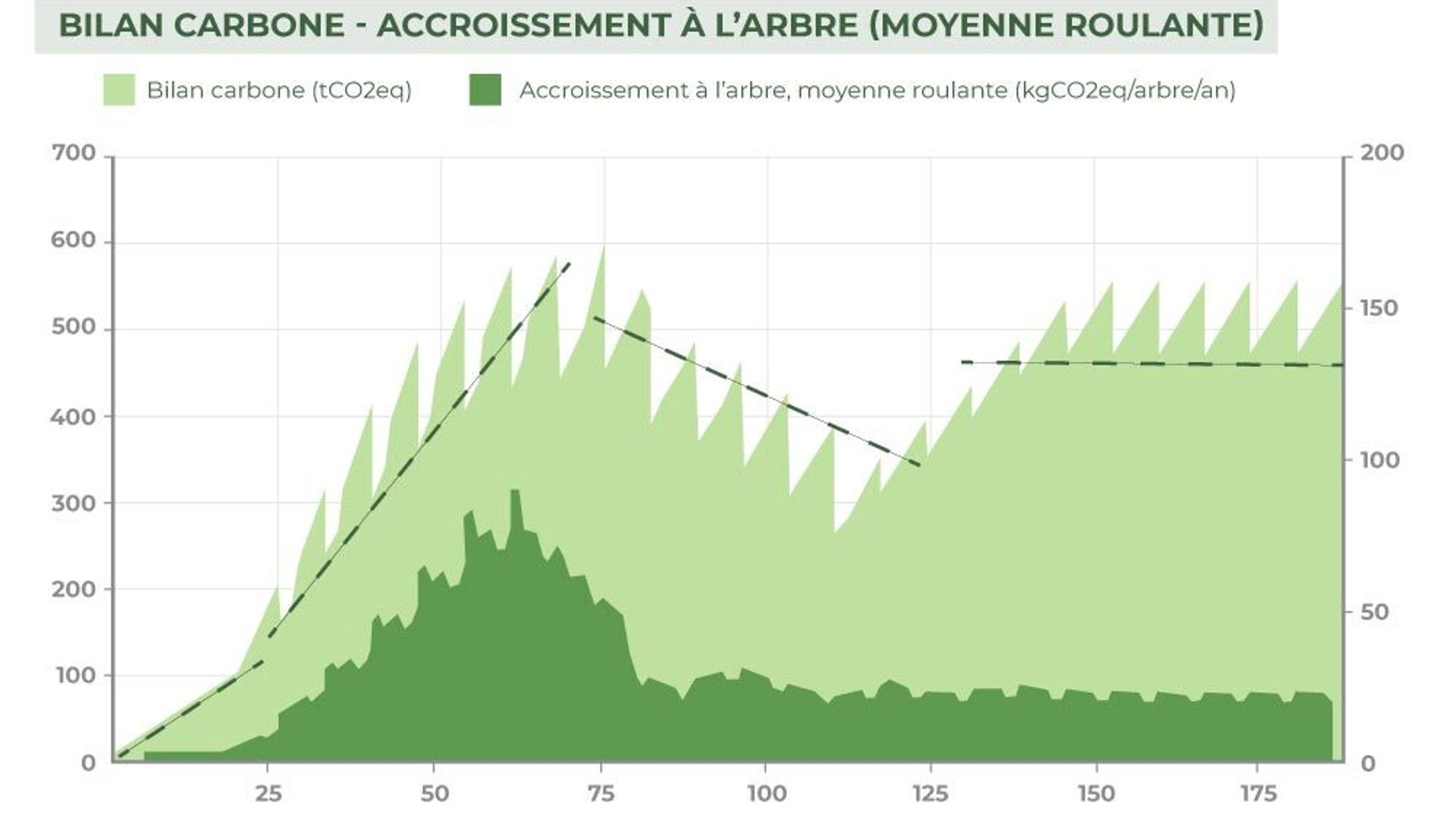 Combien de CO2 absorbe un arbre